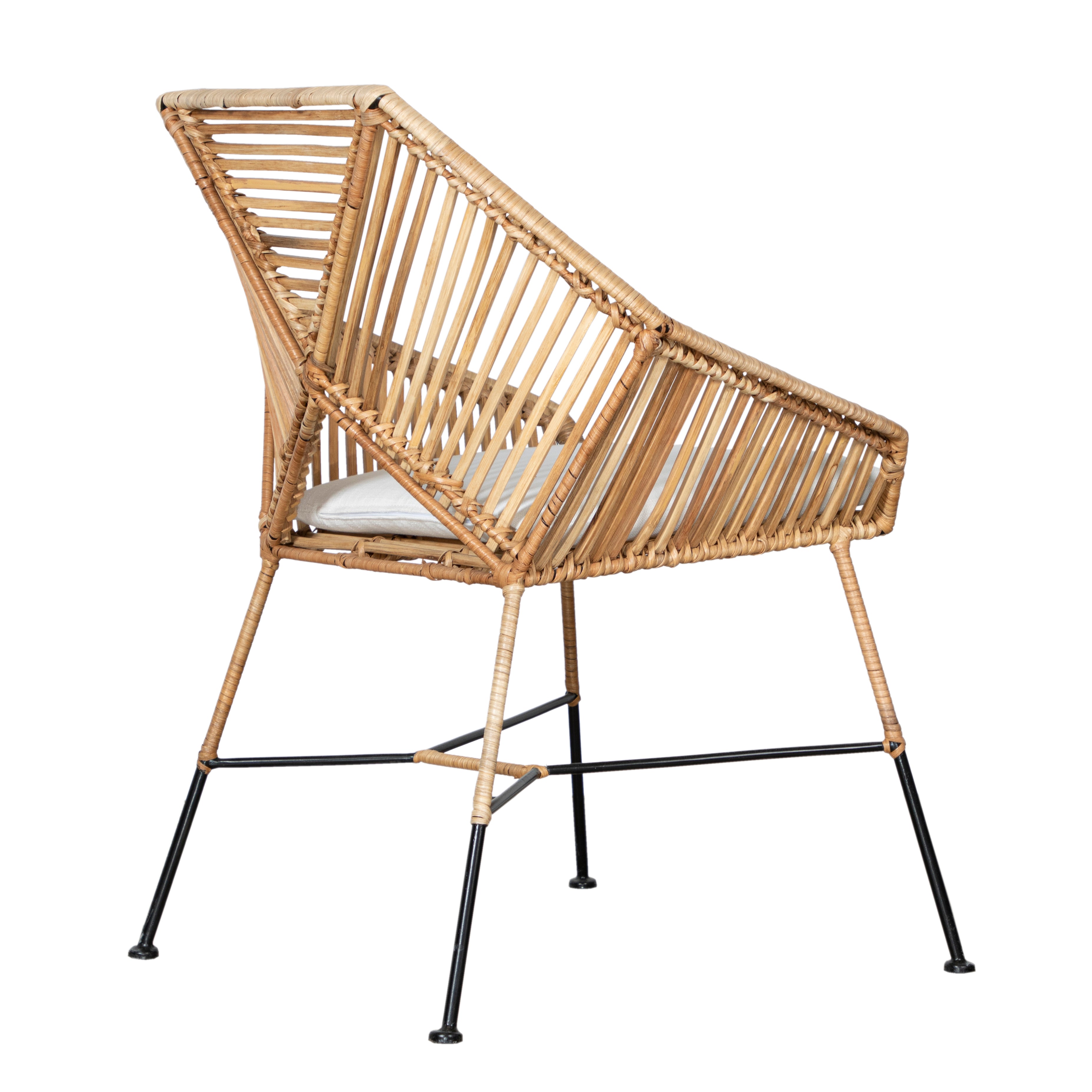 David Francis - Baja Chair – David Francis Furniture