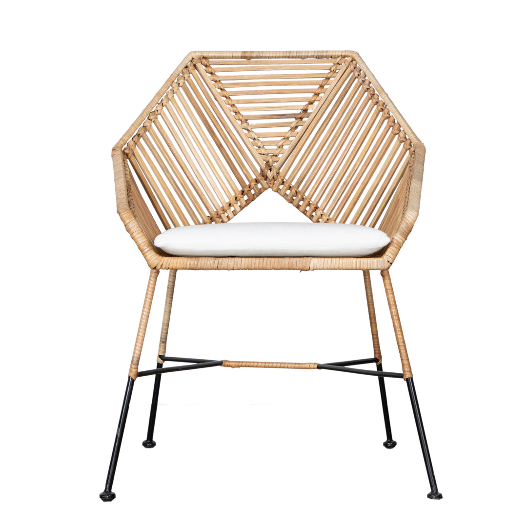 David Francis - Baja Chair – David Francis Furniture